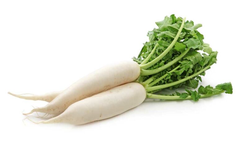 Rettich - Martinshof Ballreich Spargel, Erdbeeren und mehr